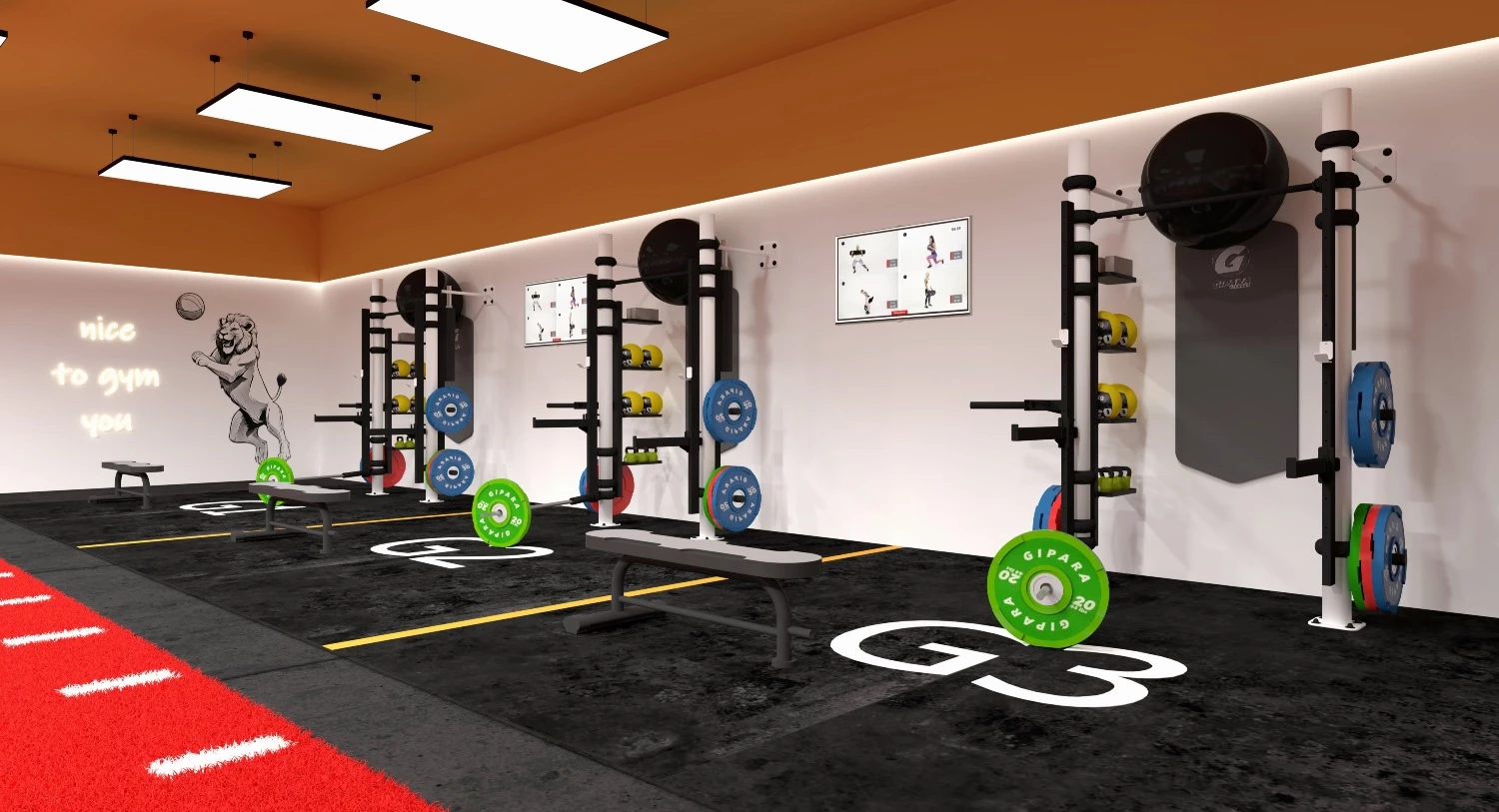 Home Page | Nano Gym